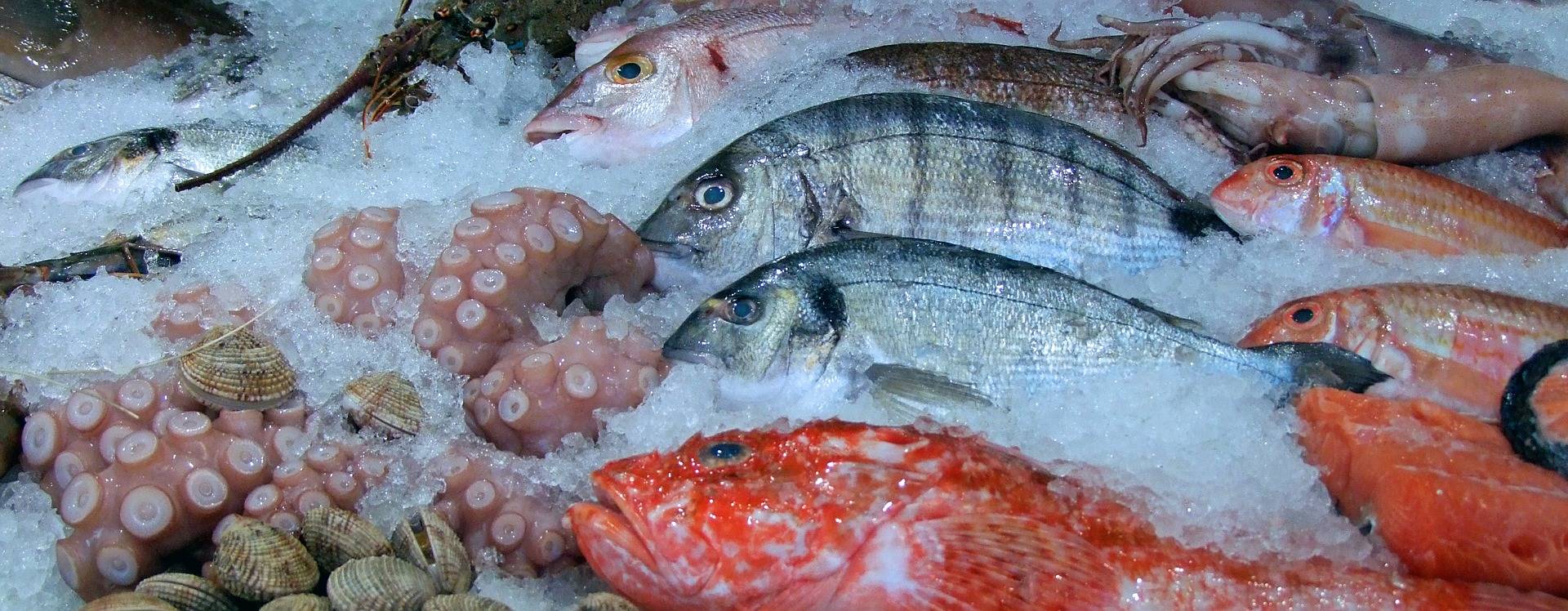 ¿Cuánto duran los mariscos refrigerados? Consejos de conservación