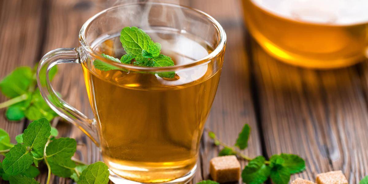 Descubre cómo preparar el mejor té de menta en casa