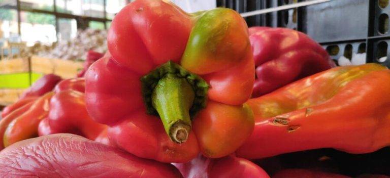 Descubre los beneficios del pimiento morrón rojo