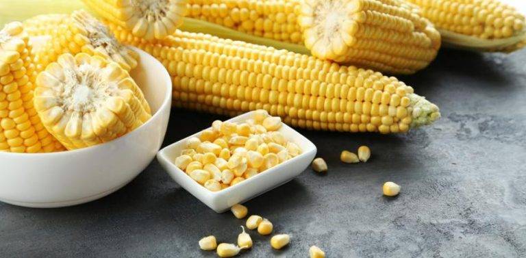 Descubre los múltiples beneficios y propiedades del elote