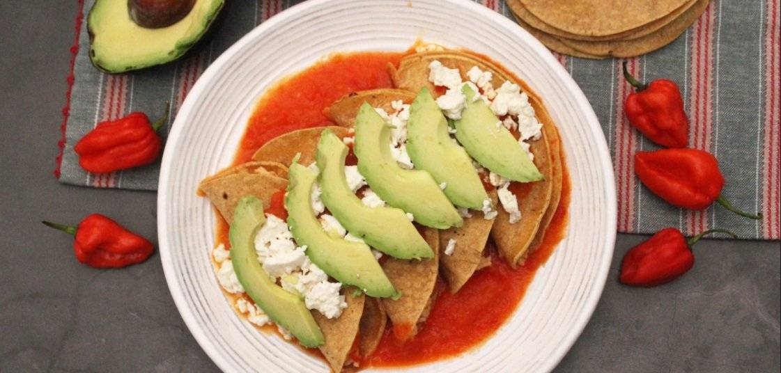 ¿Receta de Entomatadas de Pollo fácil y deliciosa?